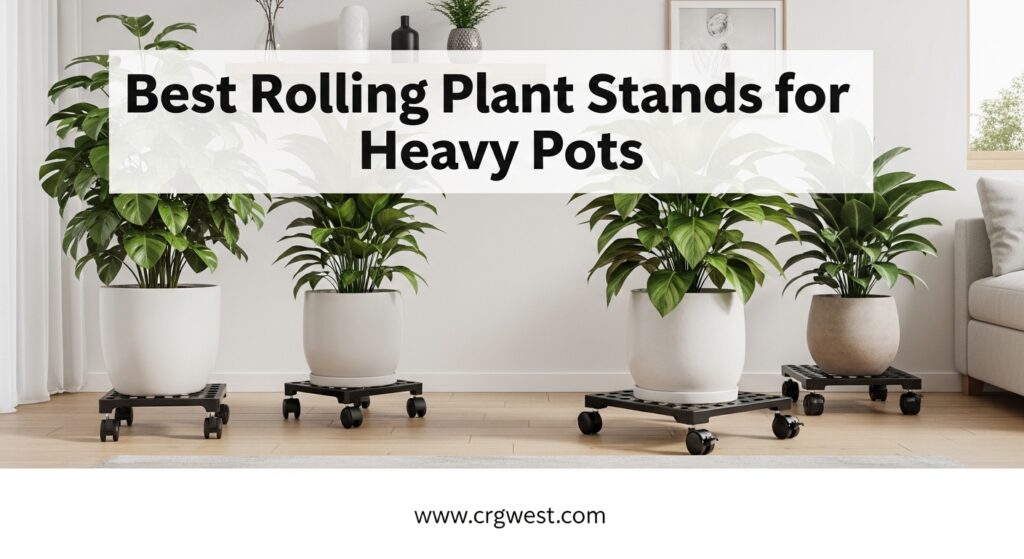 10 Best Rolling Plant Stands for Heavy Pots (March 2026) Tested
