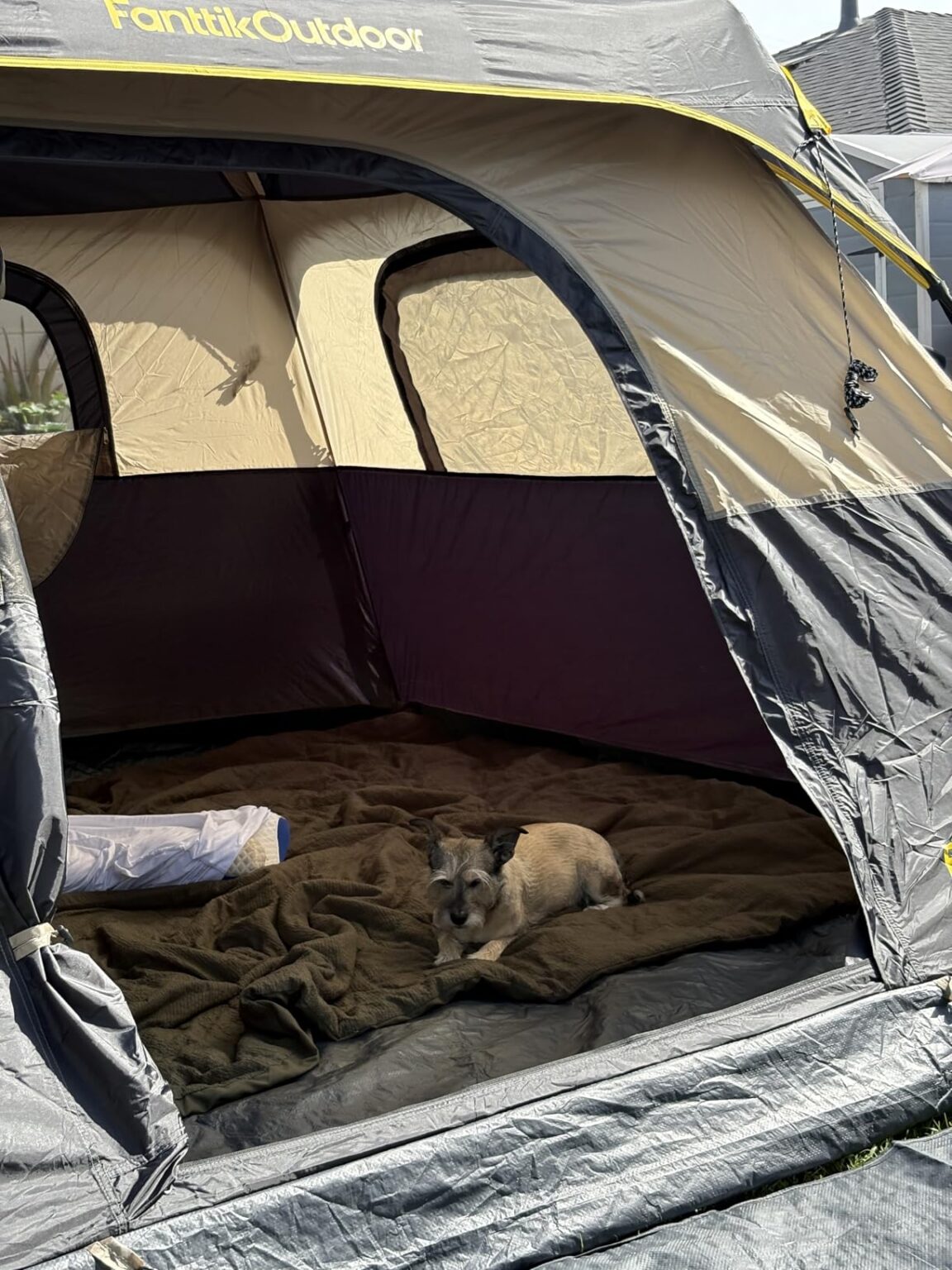 15 Best 4 Person Tents (June 2026) Expert Reviews