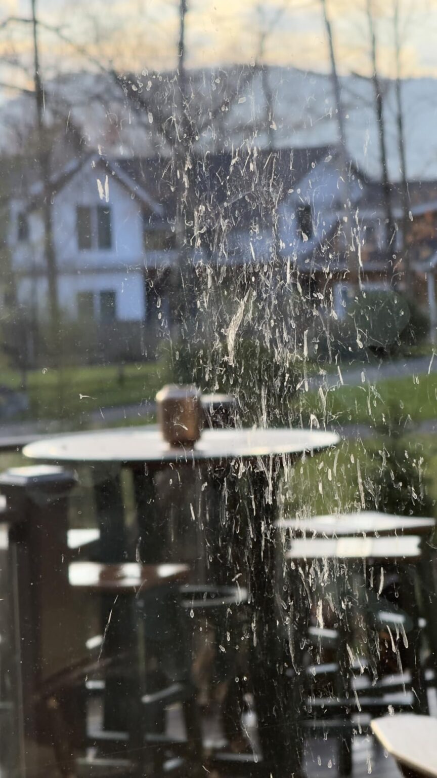 14 Best Robot Window Cleaners (June 2026) Expert Reviews